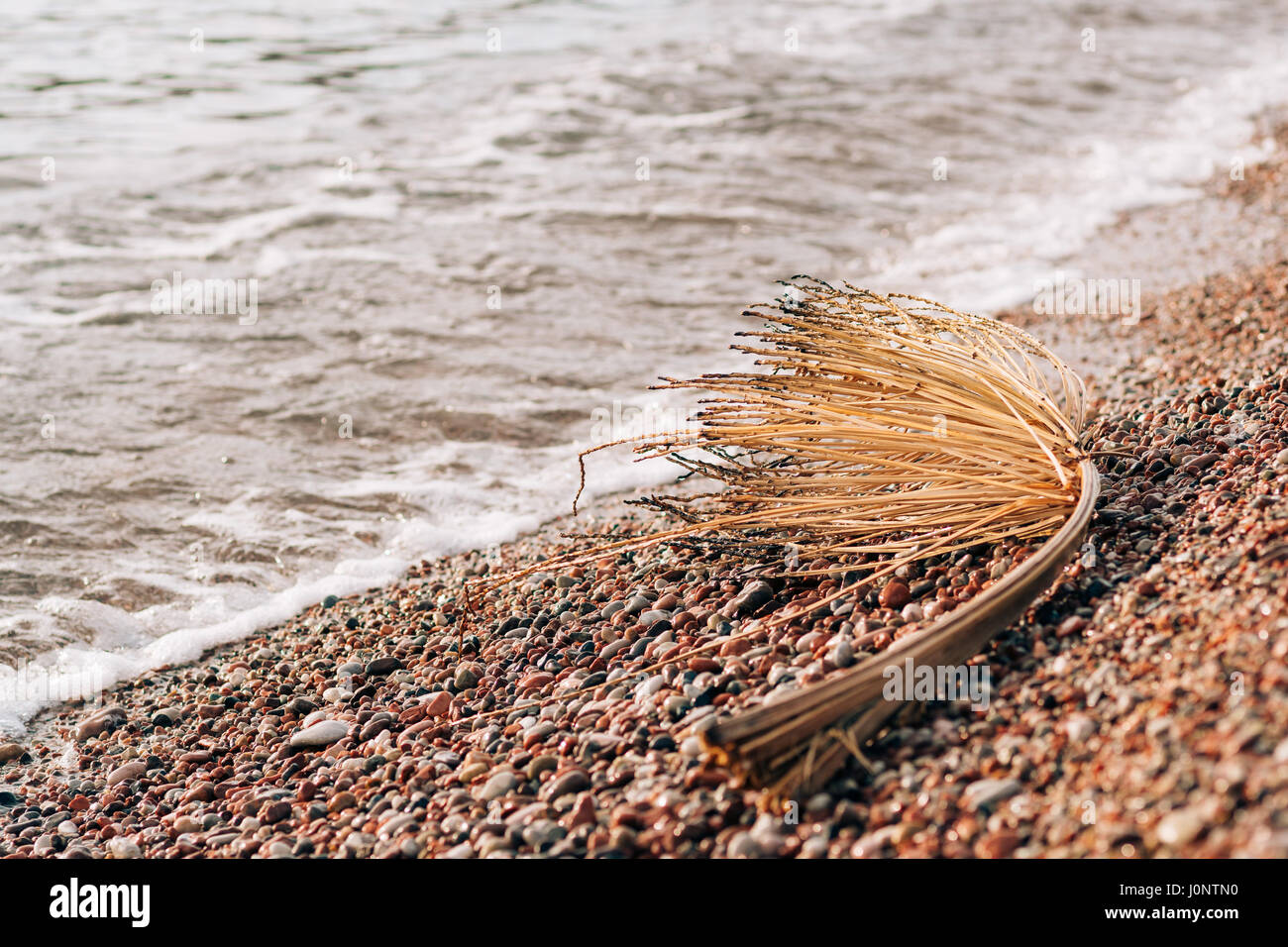 Pebbles on the beach. Texture of the sea shore. The Adriatic Sea in ...