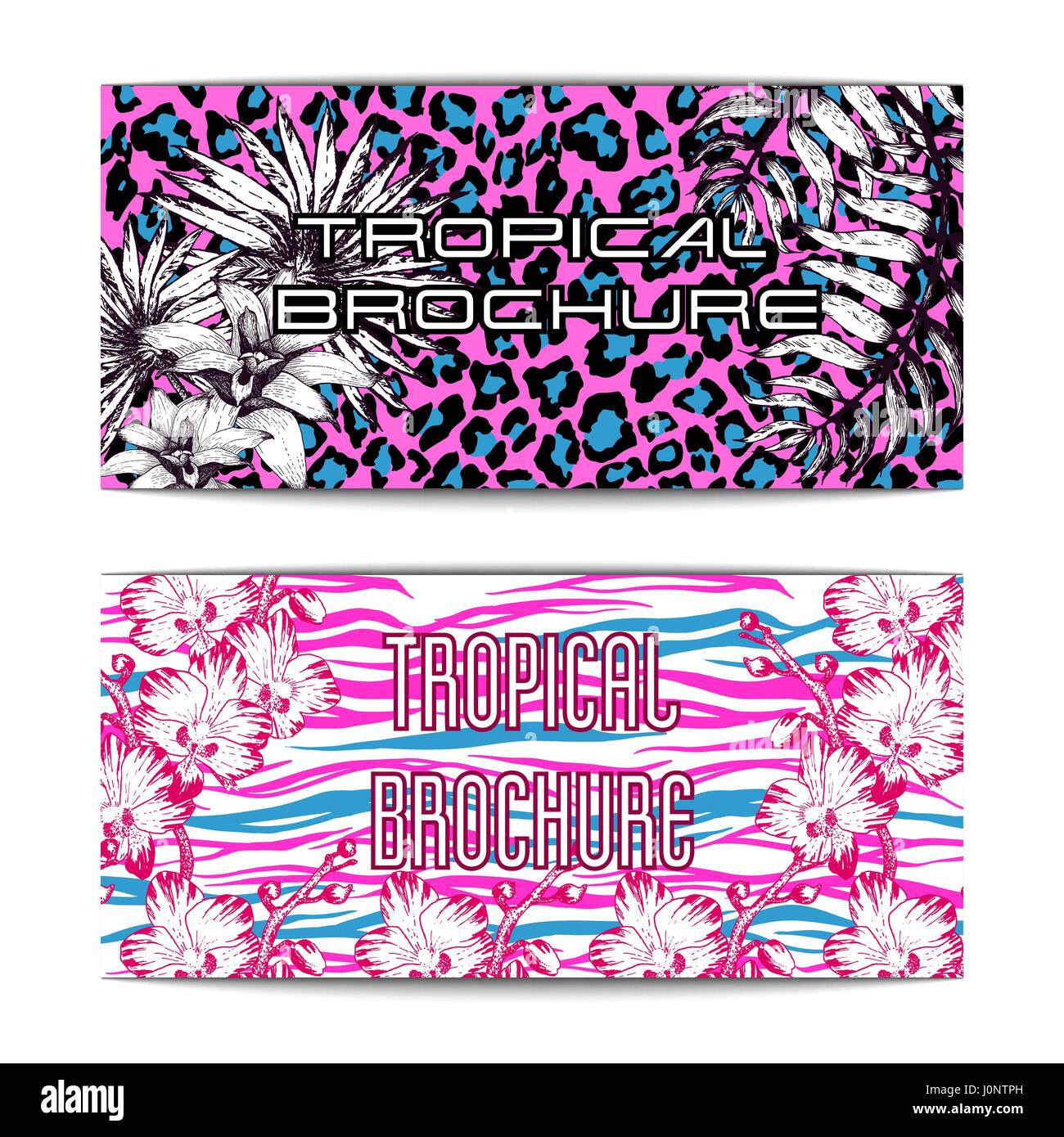 Leopard palm Cut Out Stock Images & Pictures - Alamy