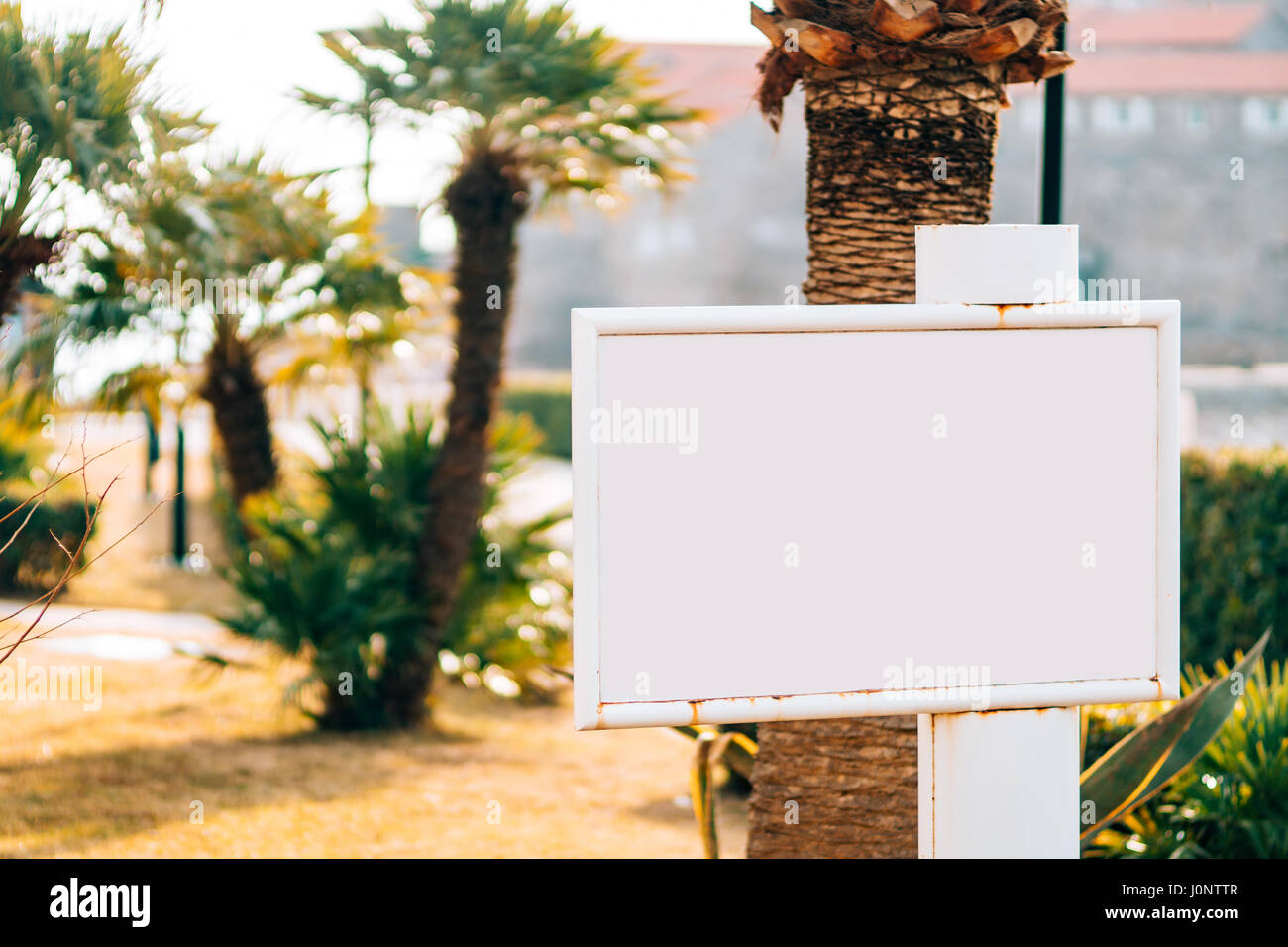 Board for writing under the palm tree. Sveti Stefan, Montenegro, the ...