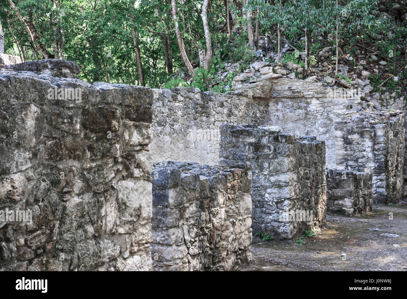 ancient stone architecture relics with green trees background at Coba ...