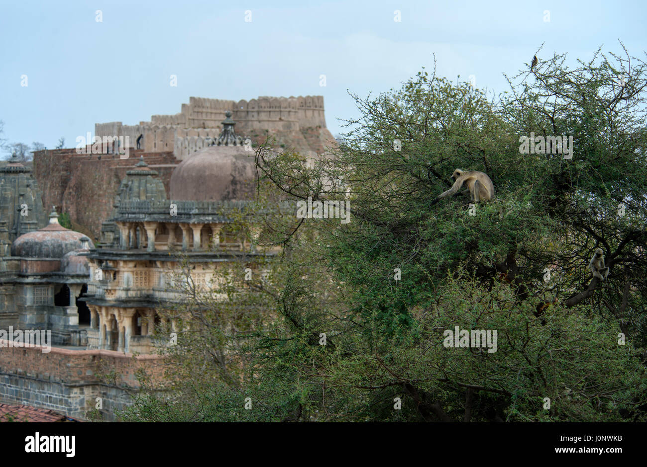 Kishangarh hi-res stock photography and images - Alamy