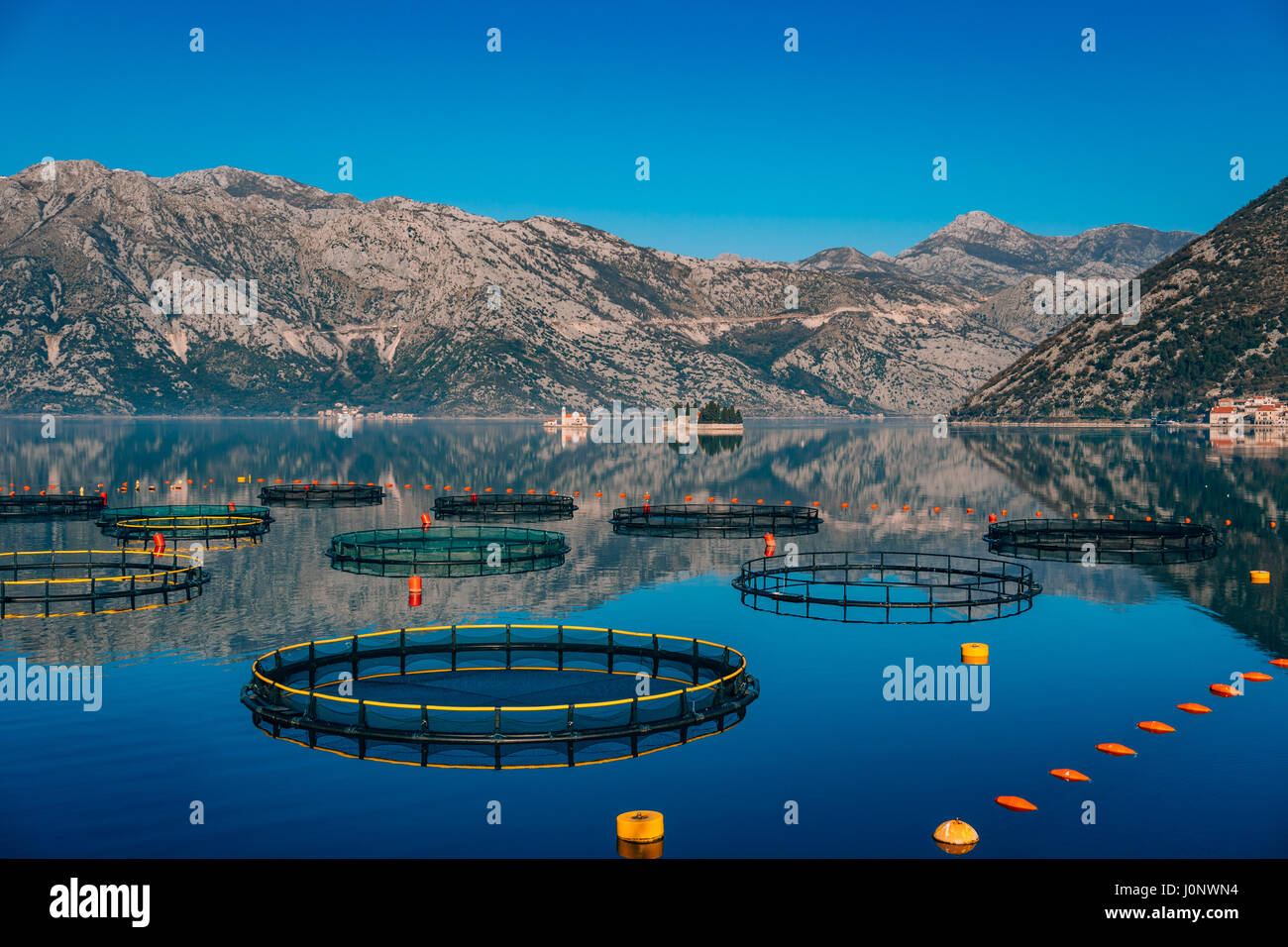 Fish farm in Montenegro. The farm for breeding and fish farming in the ...