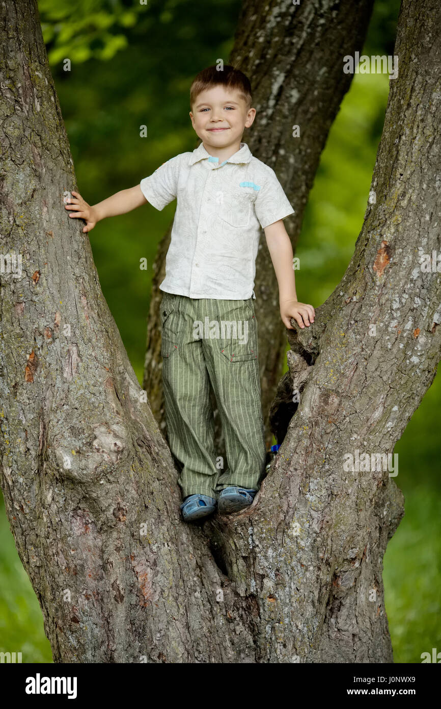 boy climbs big tree in park Stock Photo - Alamy