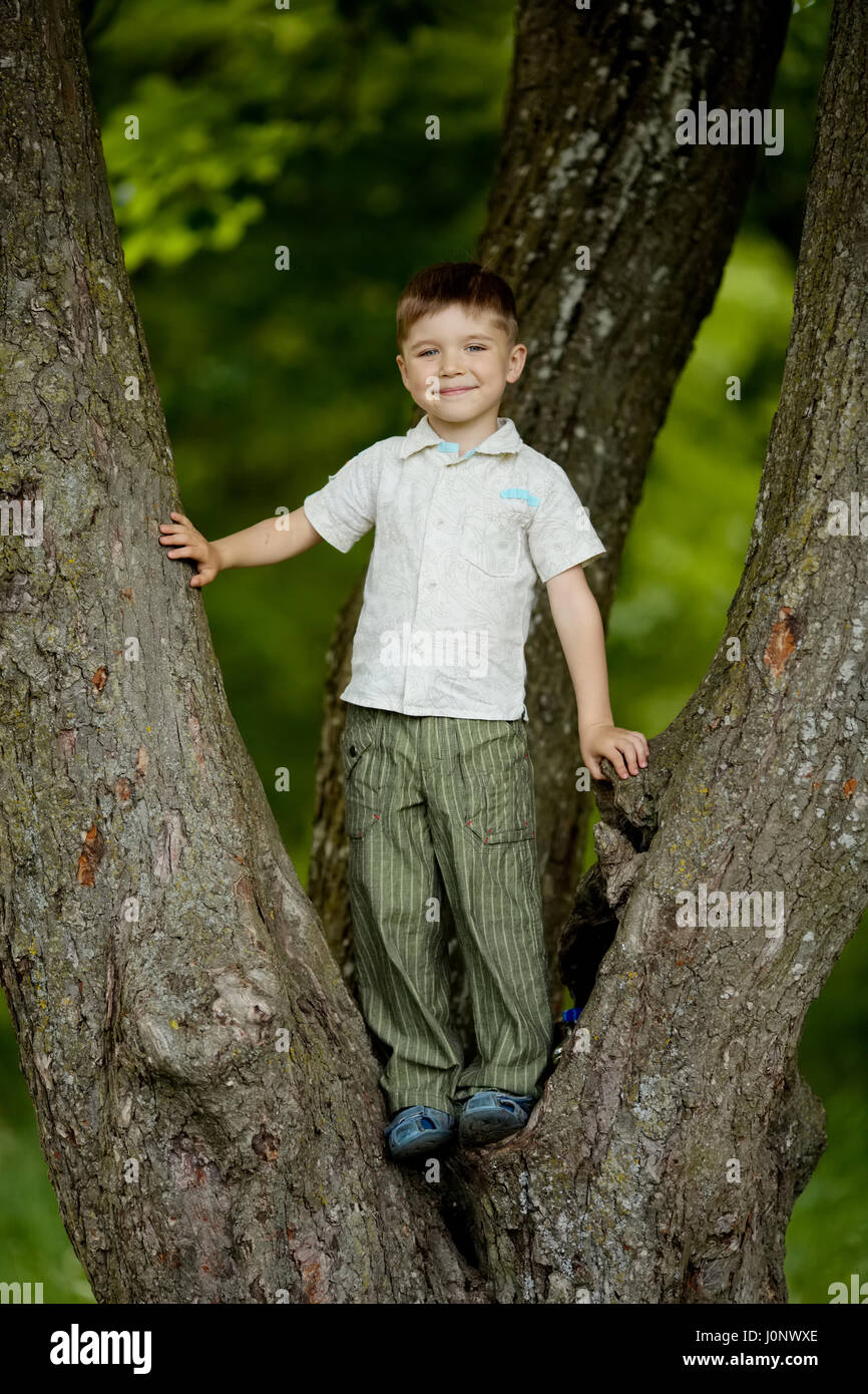 boy climbs big tree in park Stock Photo - Alamy