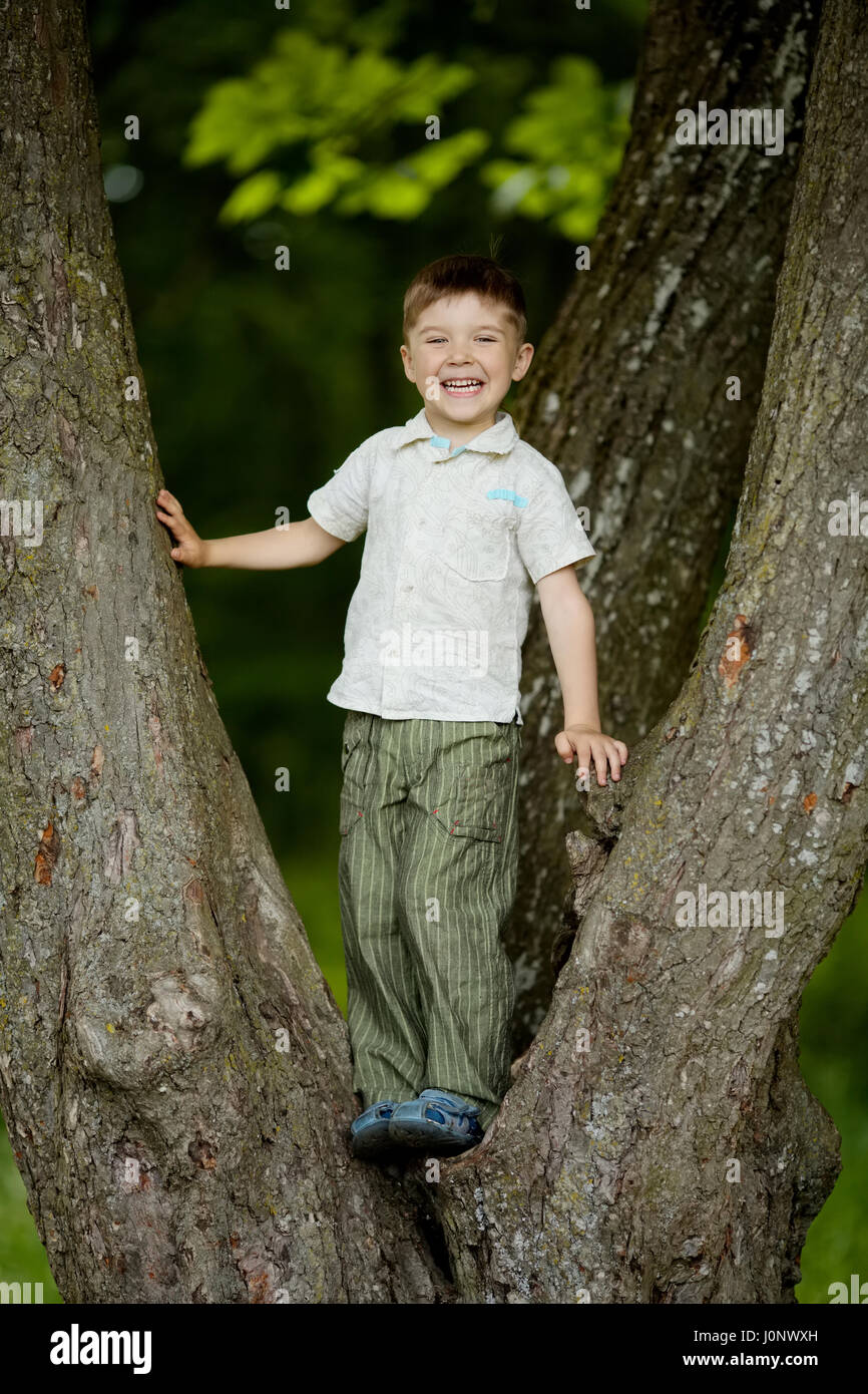 boy climbs big tree in park Stock Photo - Alamy