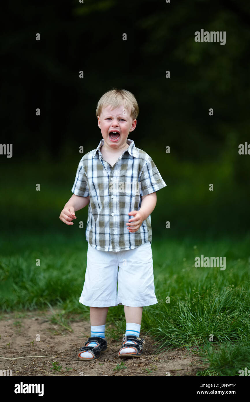 young crying boy in summer park Stock Photo - Alamy