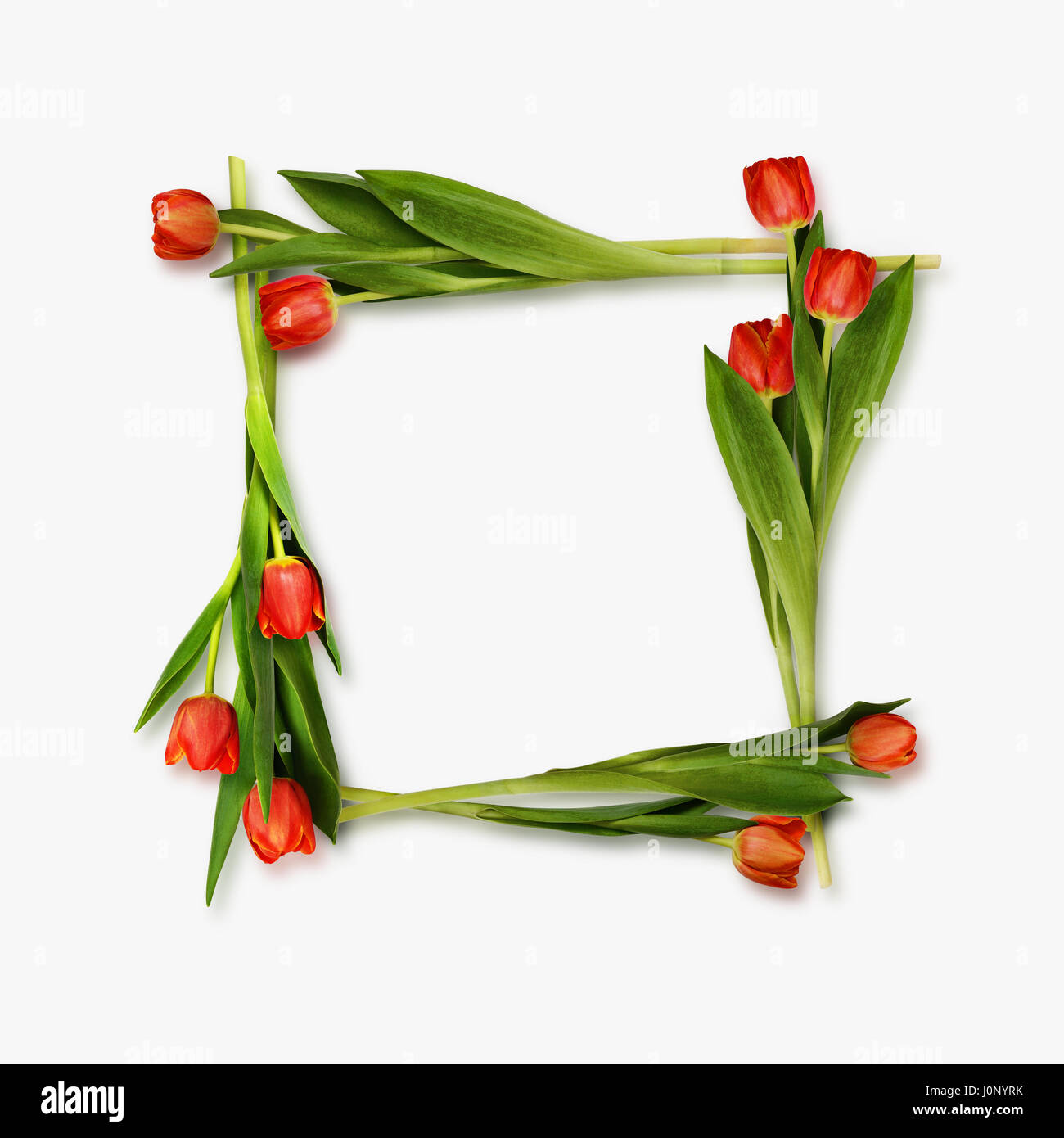 Orange red flowers composition Cut Out Stock Images & Pictures - Alamy