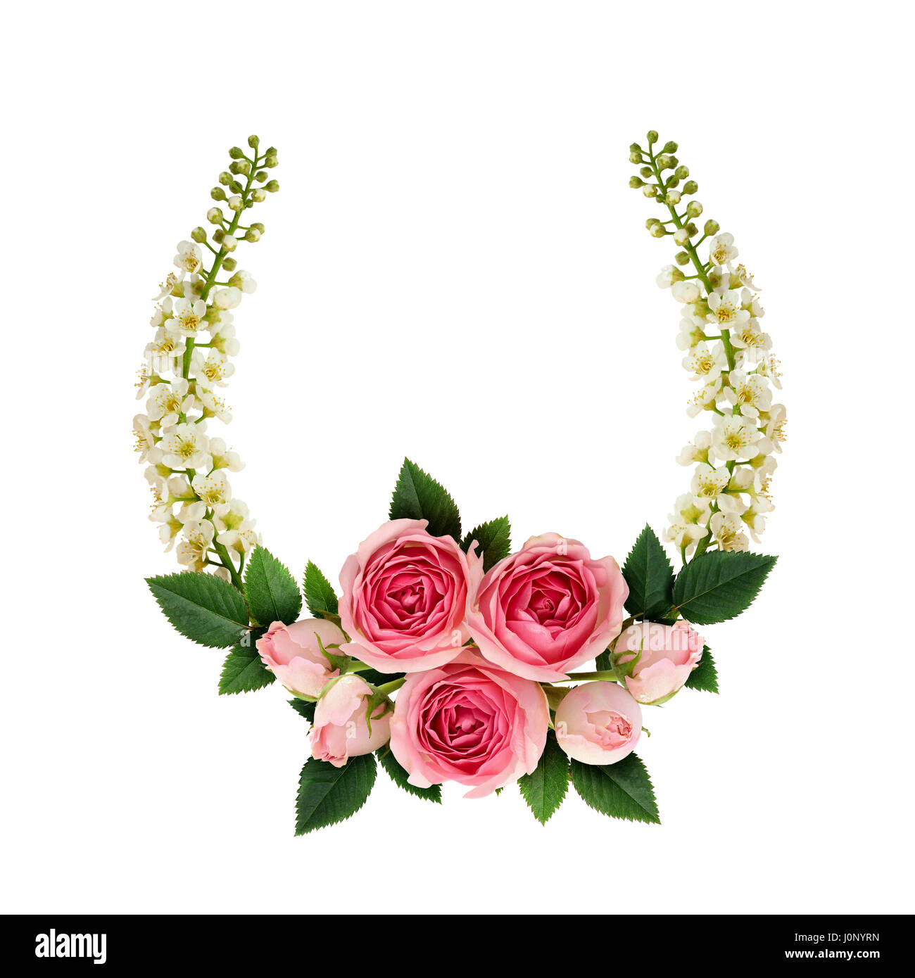 Pink rose flowers arrangement isolated on white Stock Photo - Alamy