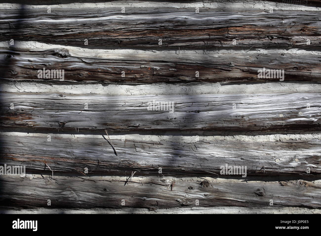 The texture of the weathered log house wall on a sunny day, Ontario ...