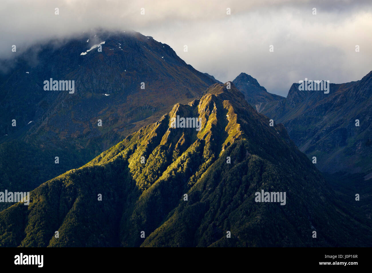 Kepler Track in Fiordland National Park, South Island, New Zealand ...