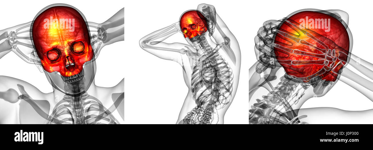 3d rendering medical illustration of the upper skull Stock Photo - Alamy