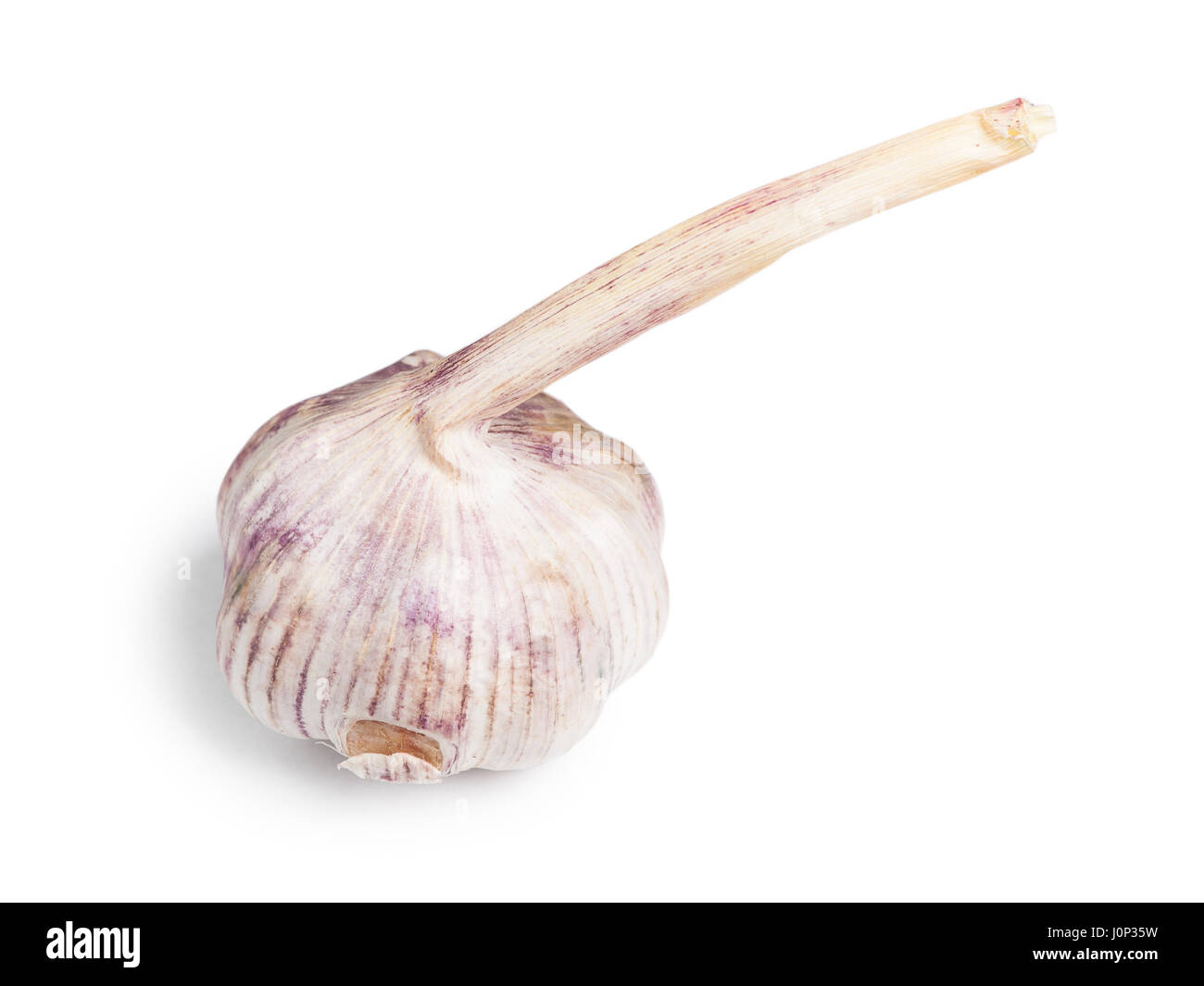 Raw garlic isolated on white background Stock Photo - Alamy