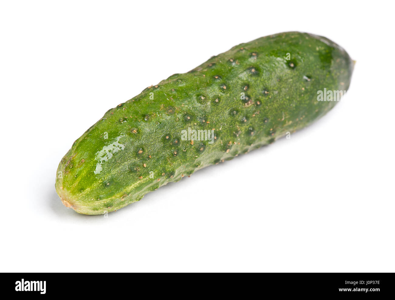 One cucumber isolated on white background Stock Photo - Alamy