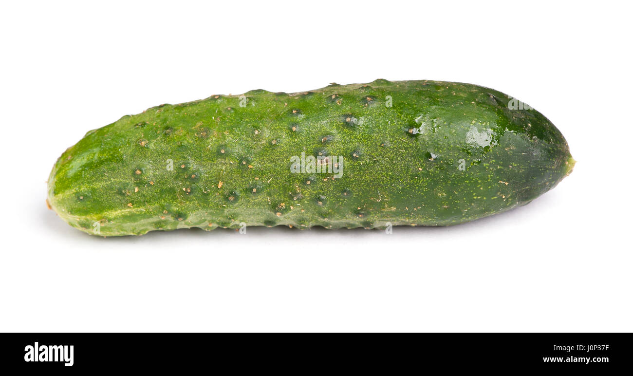 One cucumber isolated on white background Stock Photo - Alamy