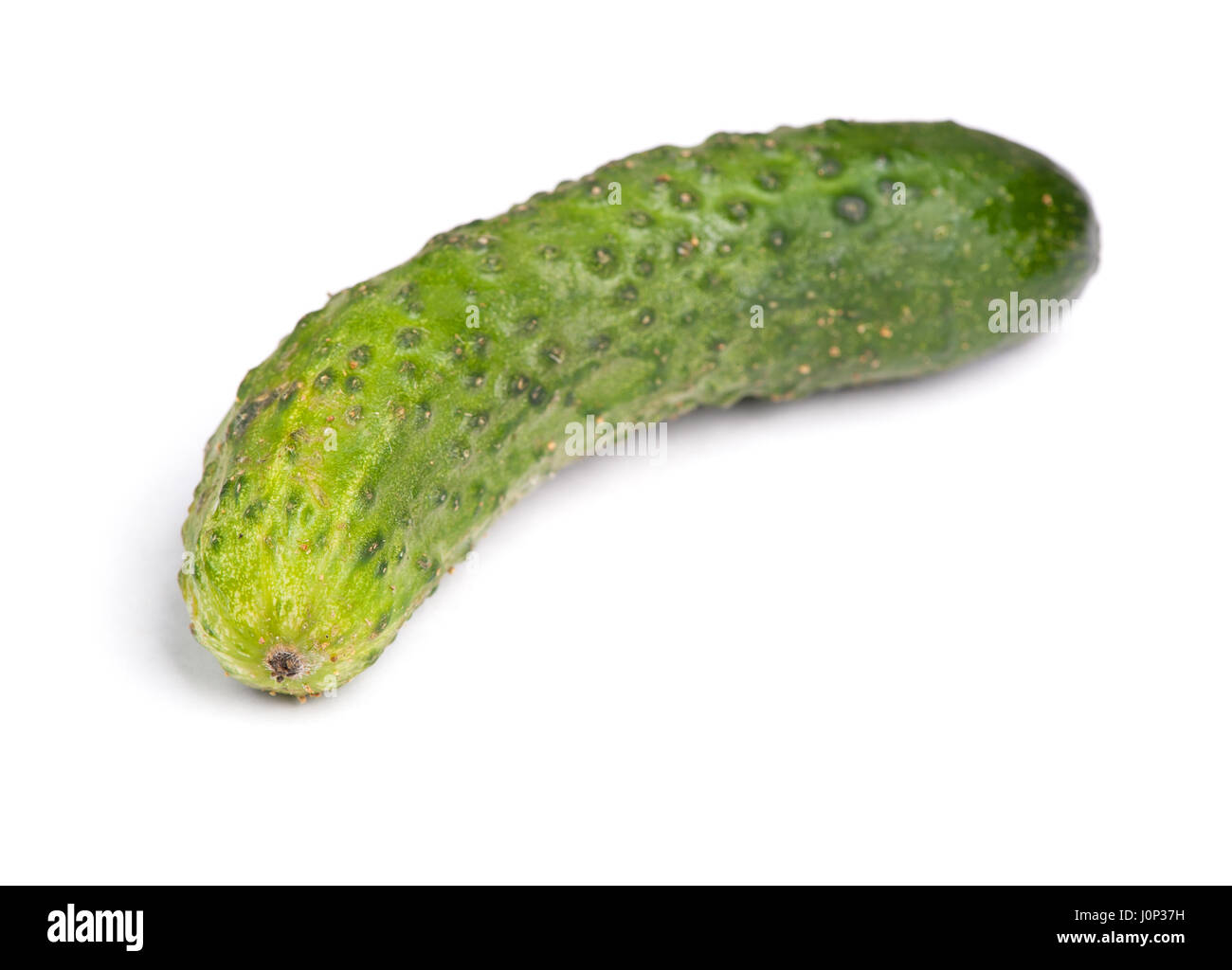 One cucumber isolated on white background Stock Photo - Alamy