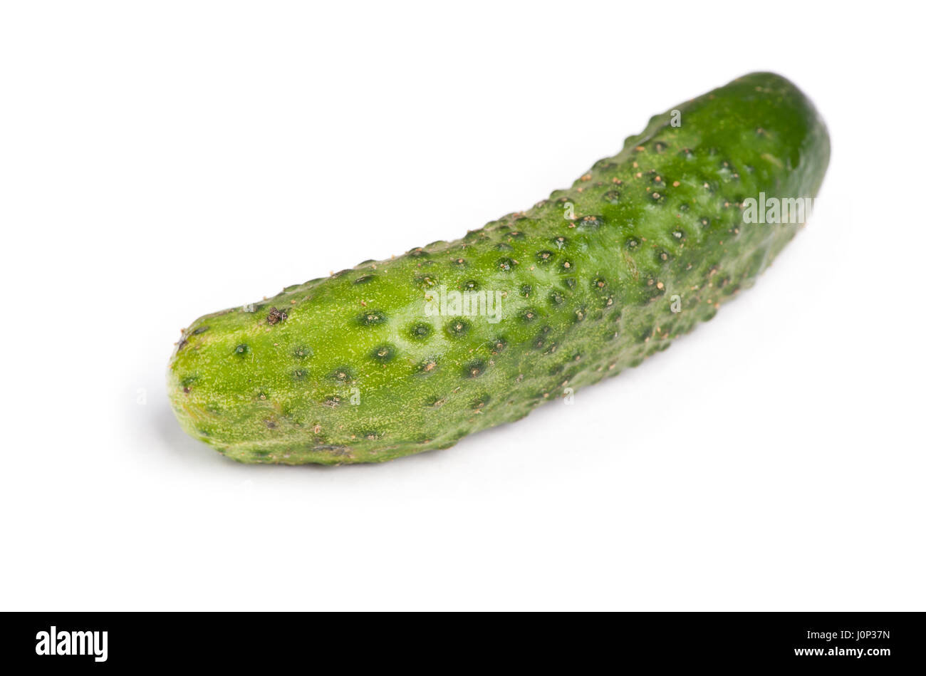 One cucumber isolated on white background Stock Photo - Alamy