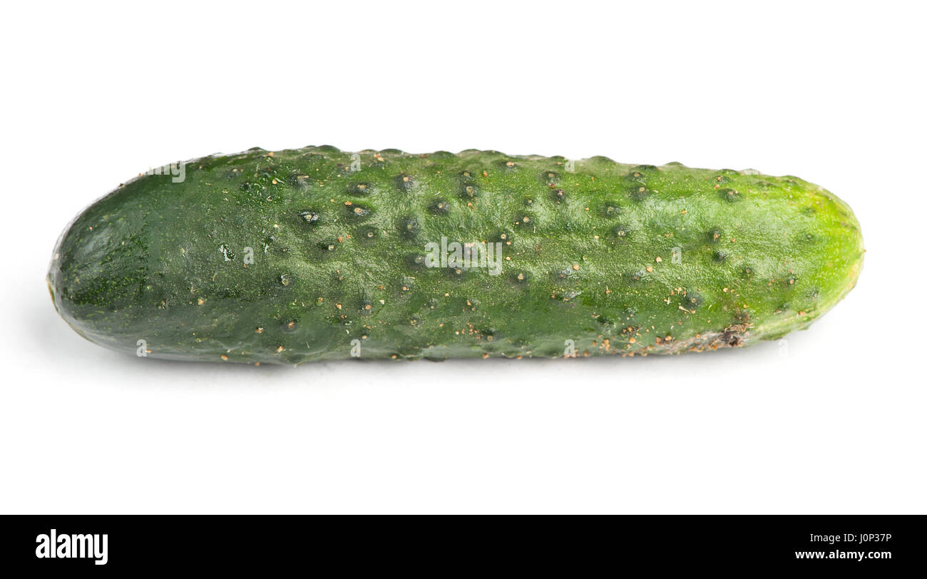 One cucumber isolated on white background Stock Photo - Alamy
