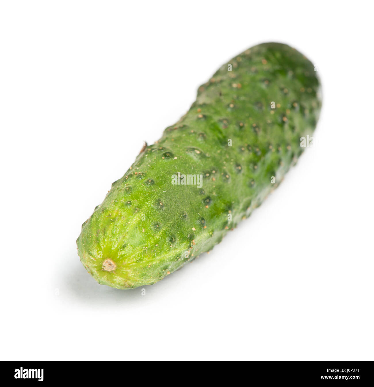 One cucumber isolated on white background Stock Photo - Alamy