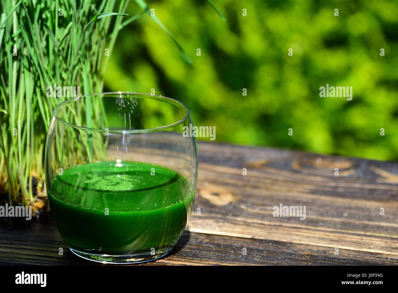 Wheatgrass juice hi-res stock photography and images - Alamy