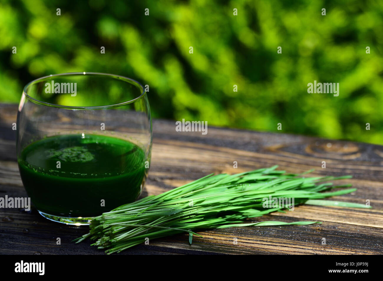 Wheatgrass juice hi-res stock photography and images - Alamy