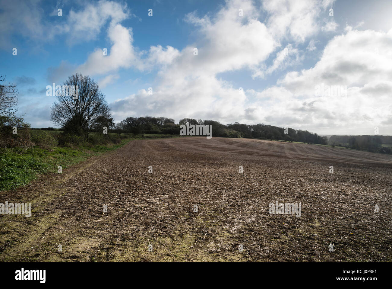 Beautiful agricultural English countryside landscape during early ...