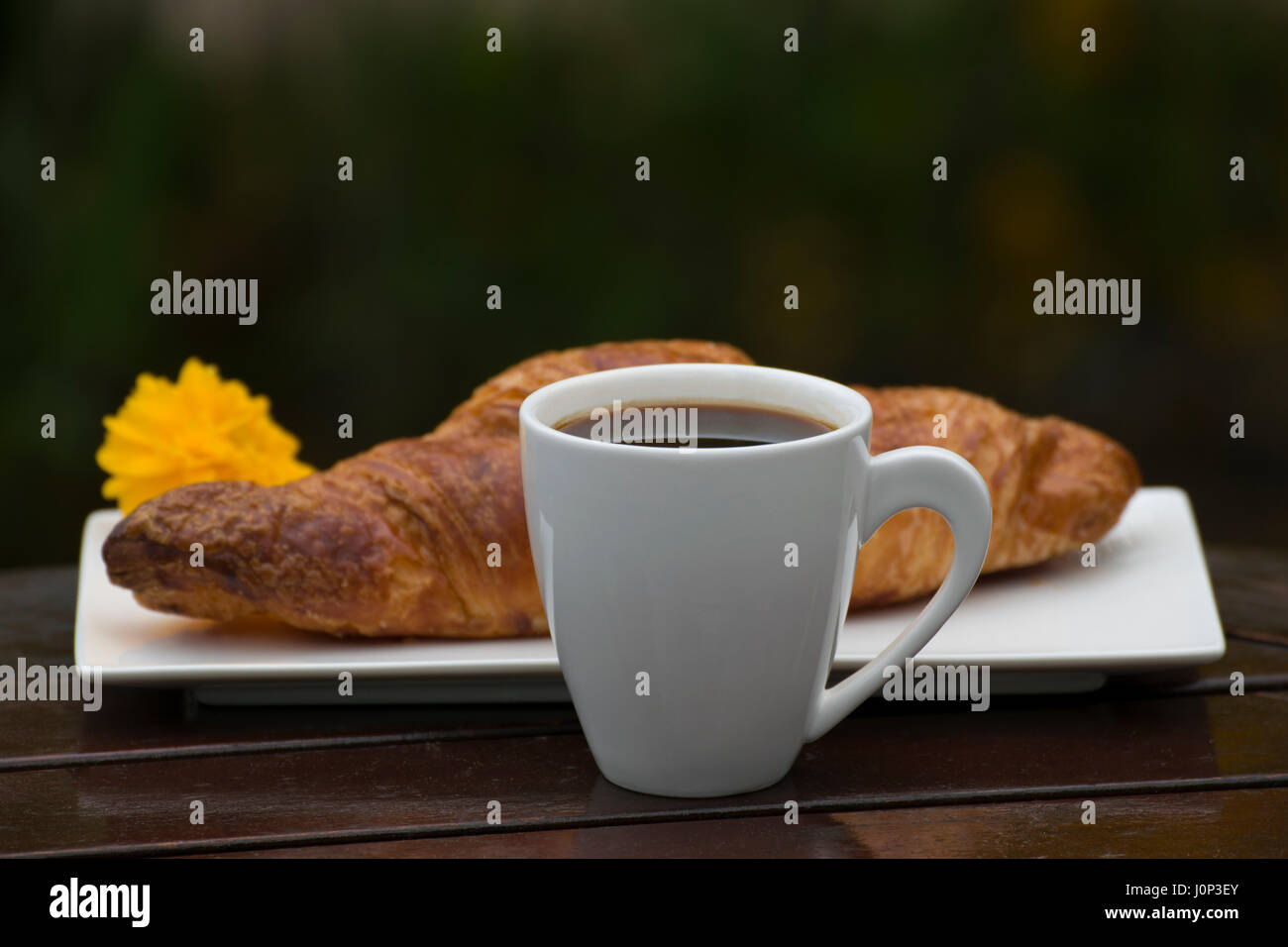 Croissant flower hi-res stock photography and images - Alamy