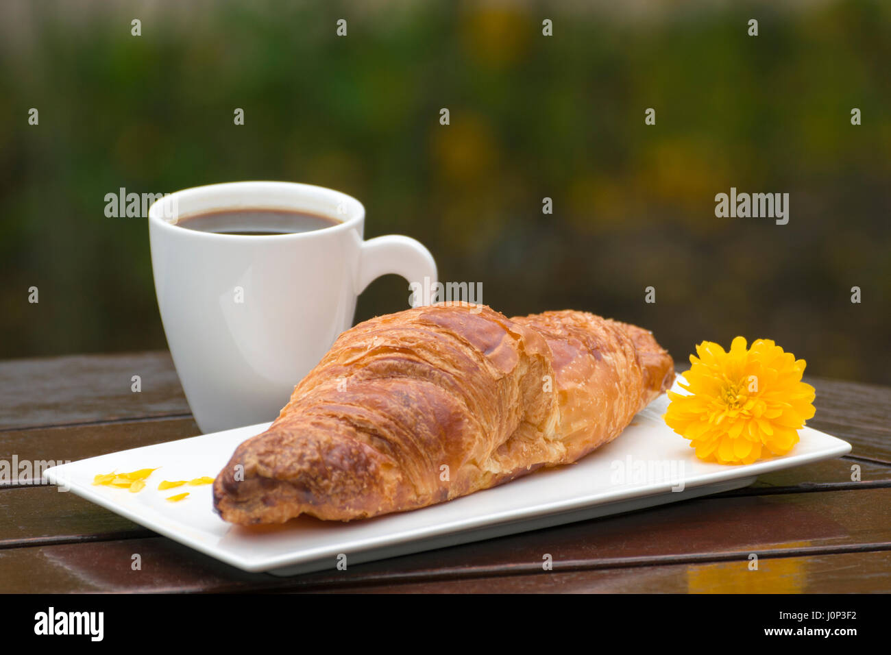 Croissant flower hi-res stock photography and images - Alamy