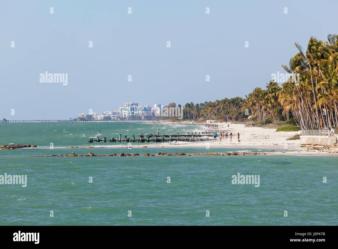 Naples, Fl, USA - March 18, 2017: Tropical beach with coconut palm ...