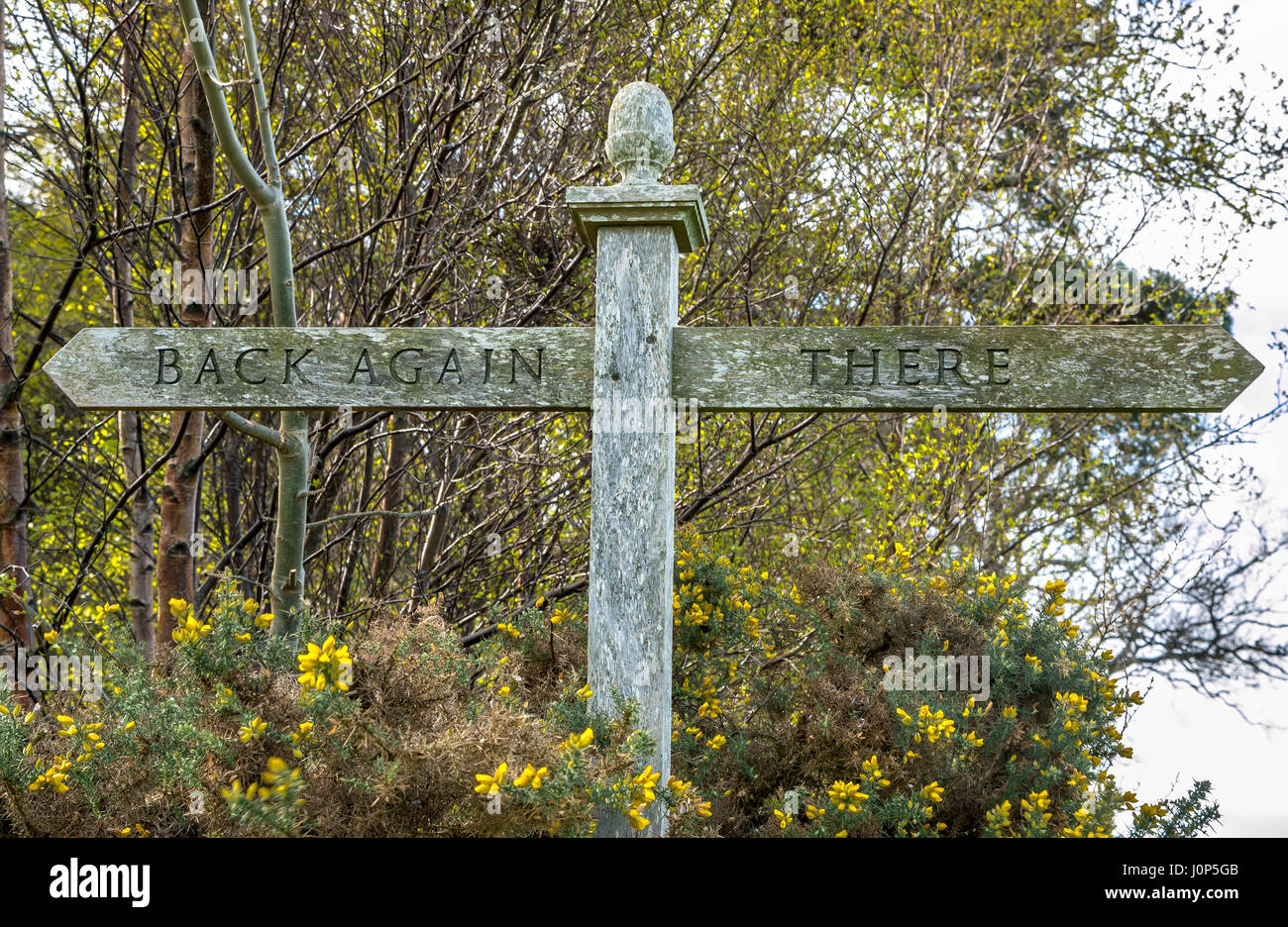 Unusual humorous wooden sign pointing in opposite directions with ...