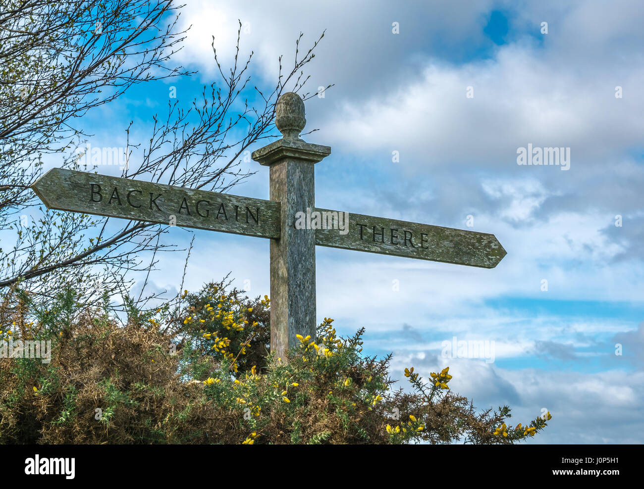 Unusual humorous wooden sign pointing in opposite directions with ...