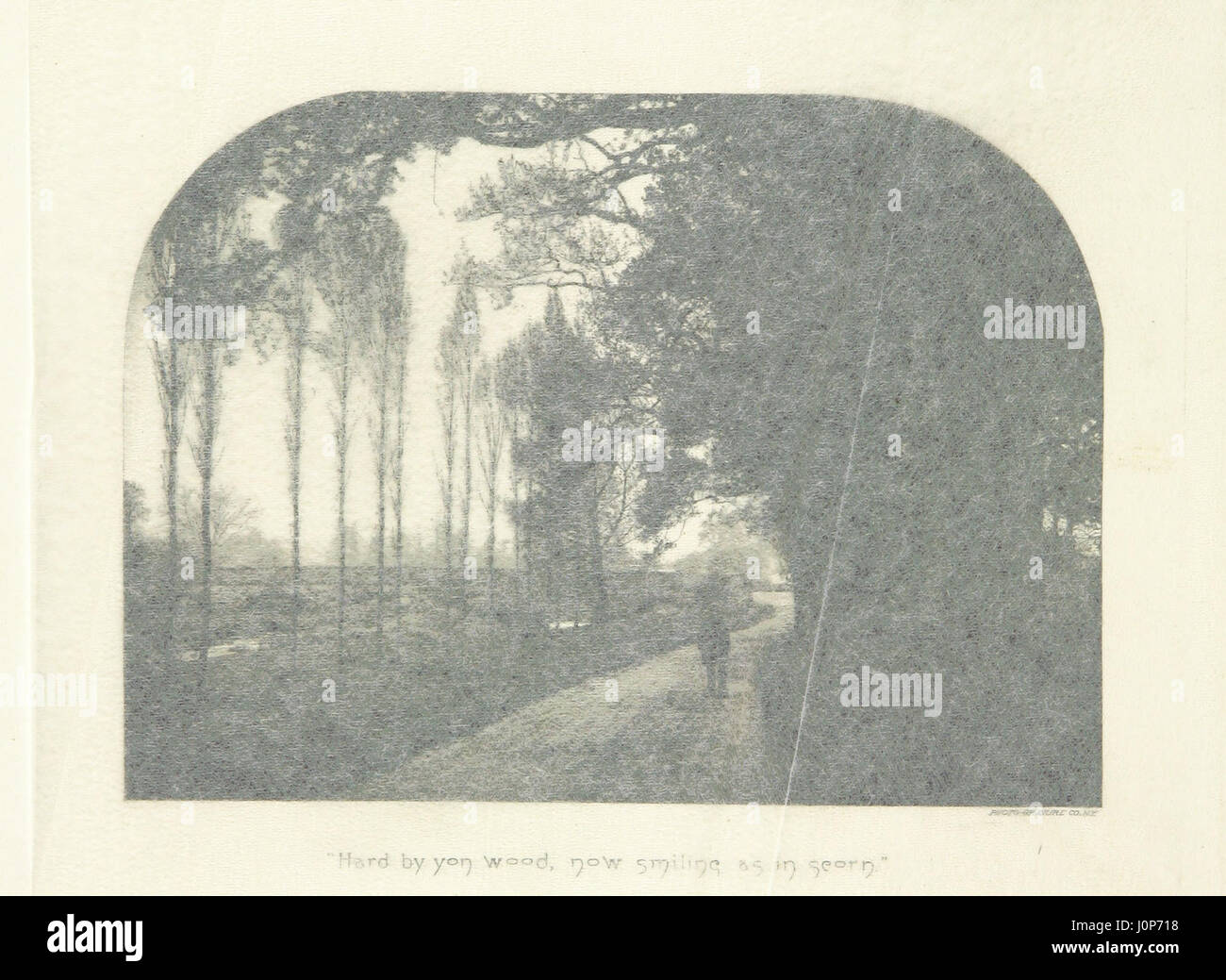 This work analyzes Thomas Gray’s famous 'Elegy Written in a Country ...