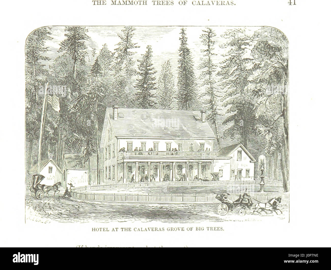 This image is from 'Scenes of Wonder and Curiosity in California,' a ...