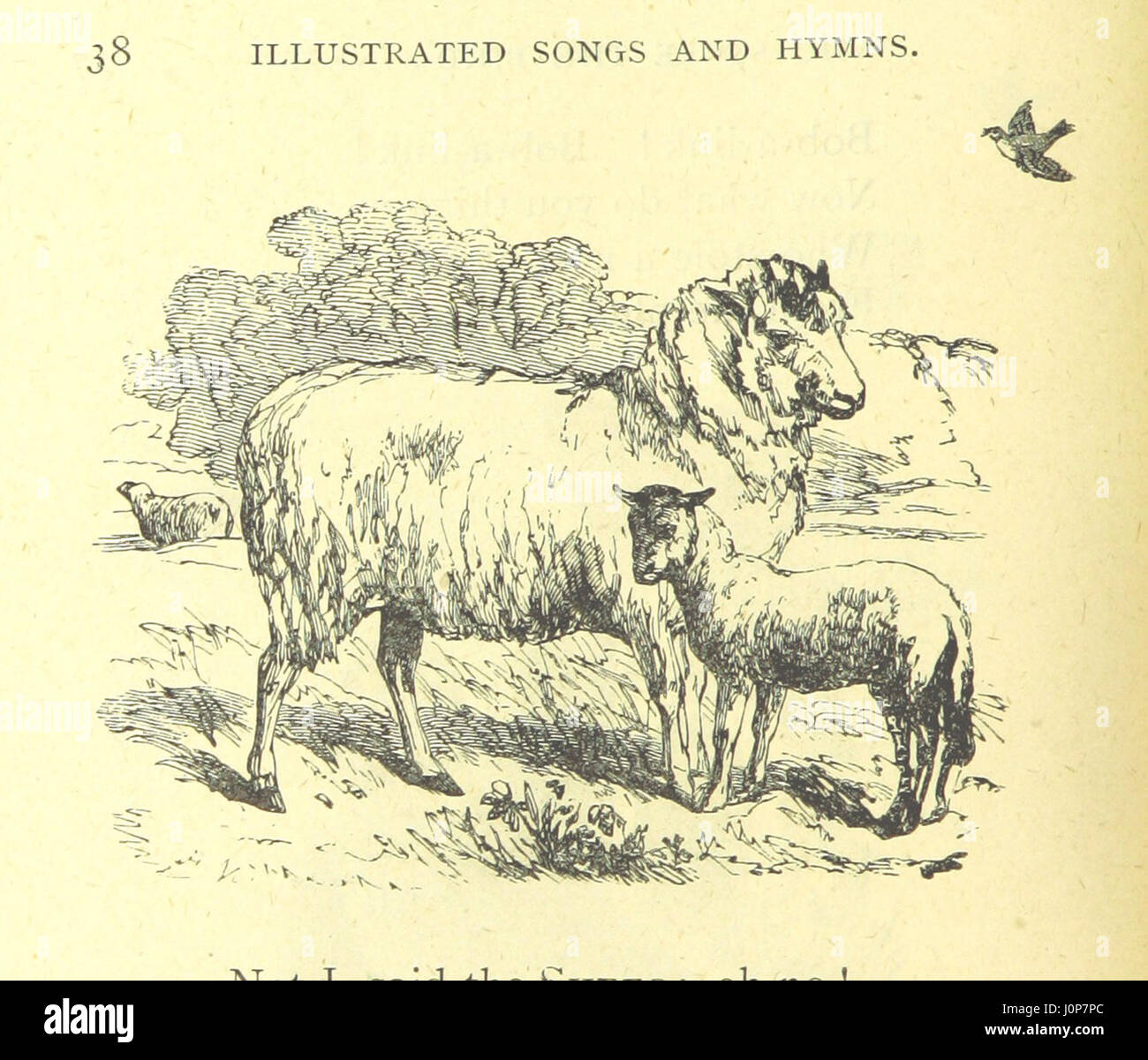 This compilation by Thomas Bywater Smithies offers illustrated songs ...