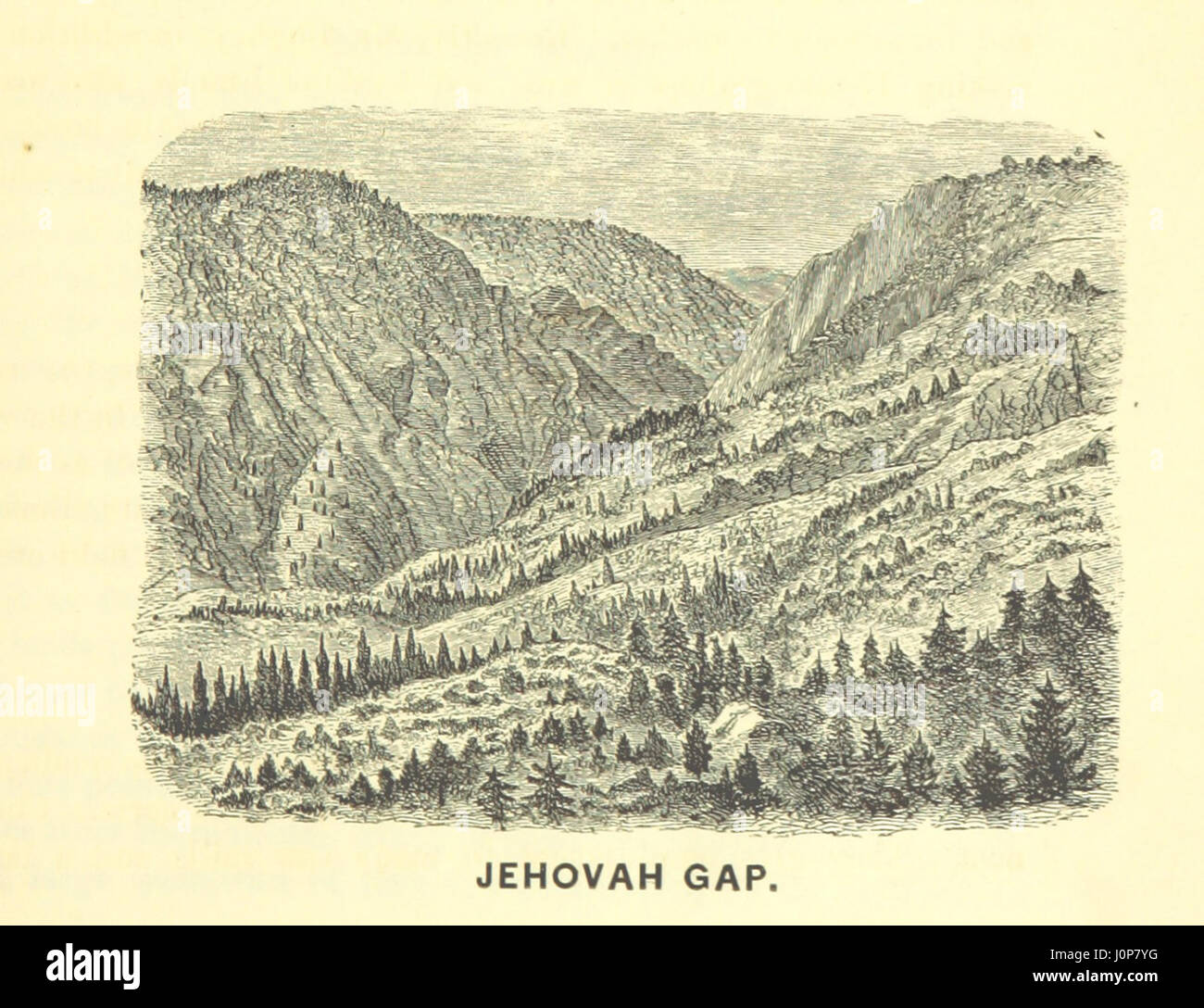 A detailed account of California's agricultural resources, alongside ...