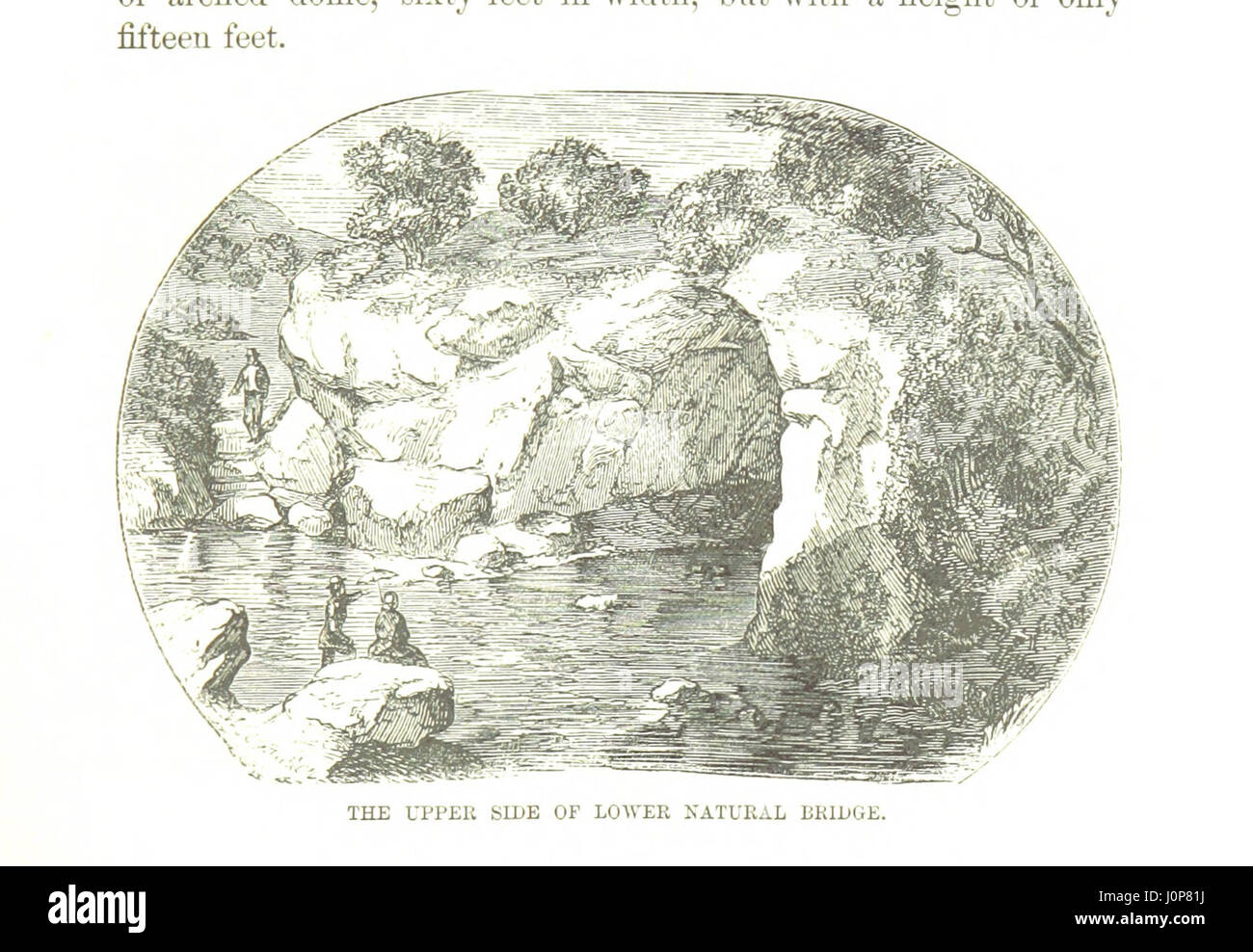 This image is from 'Scenes of Wonder and Curiosity in California,' a ...