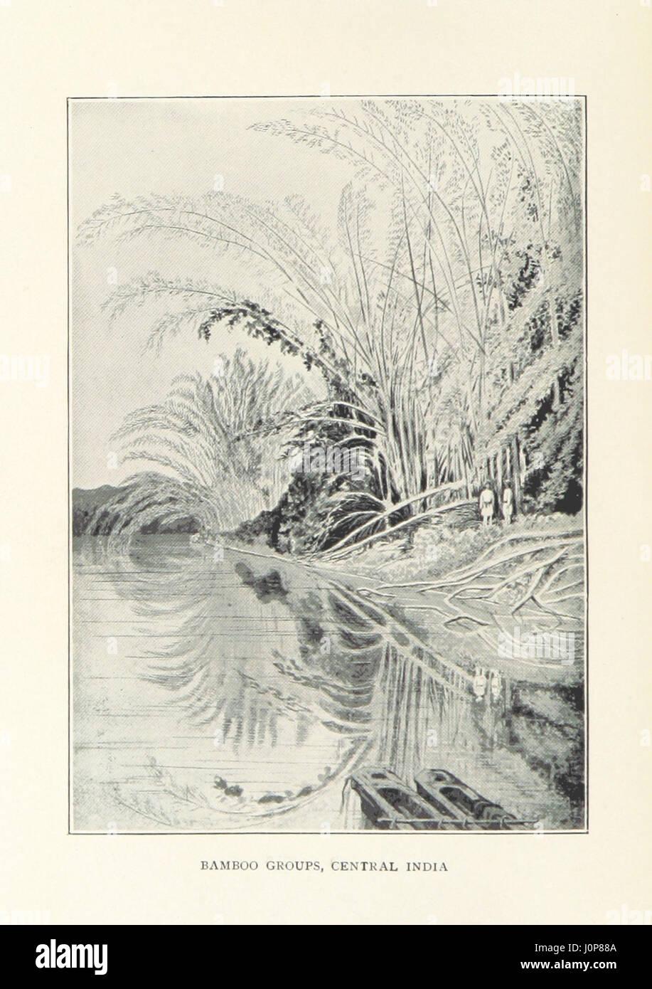 'A Bird's-Eye View of Picturesque India' offers a visual exploration of ...