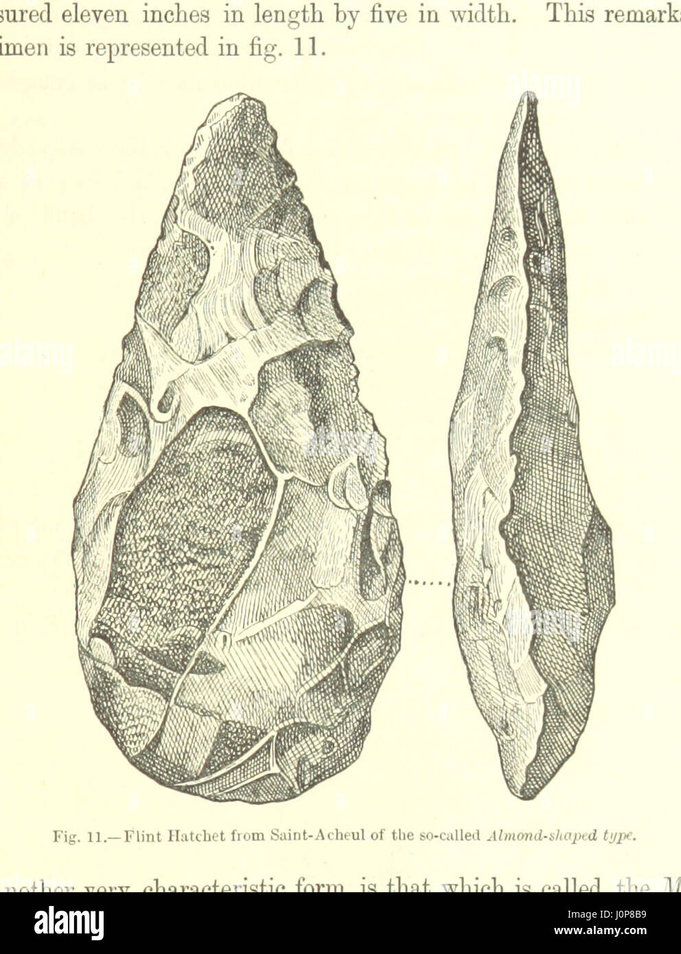 Primitive Man. Revised translation [from the French.] Illustrated with ...