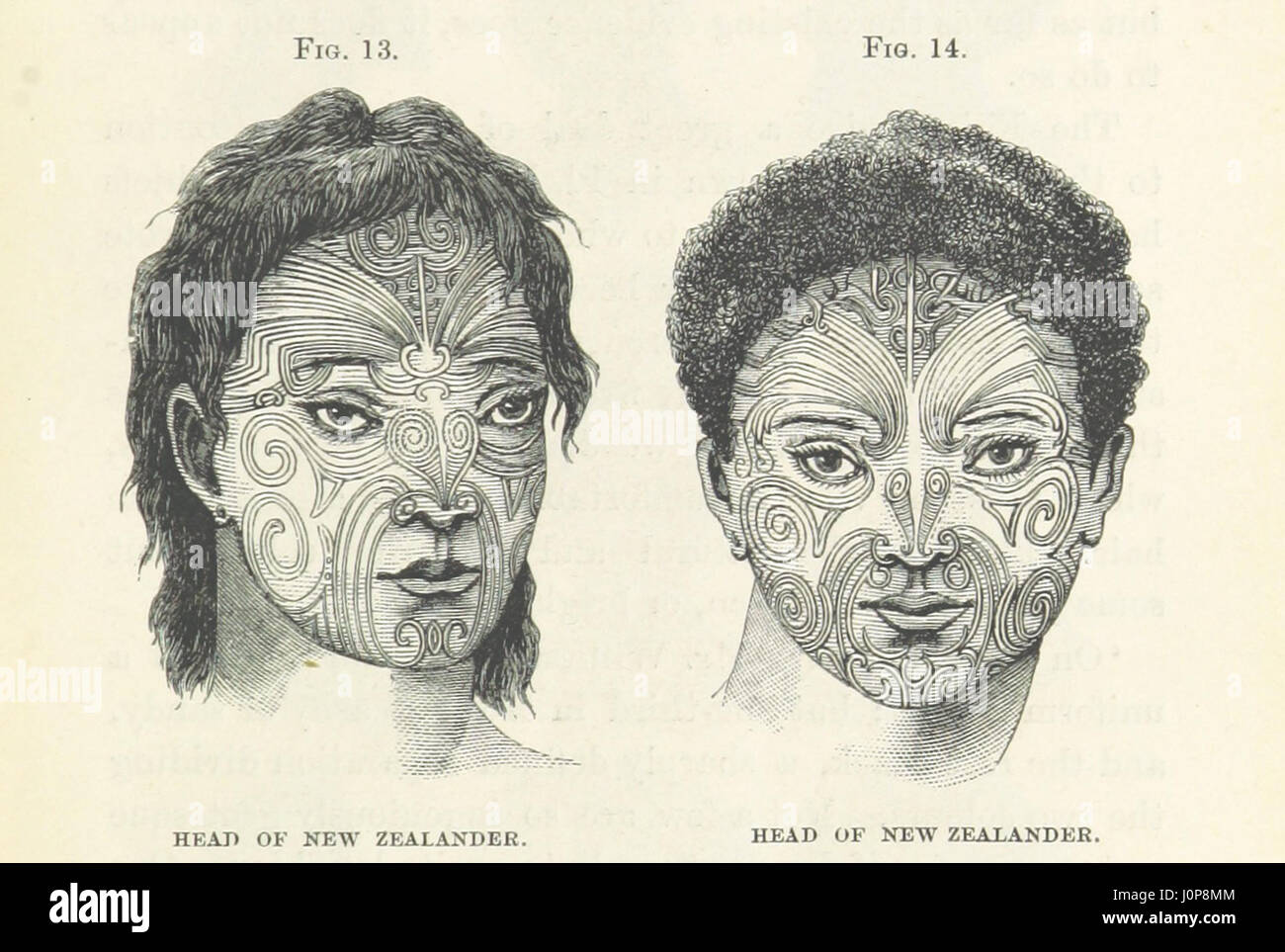 This work explores the origins of human civilization and the mental and ...