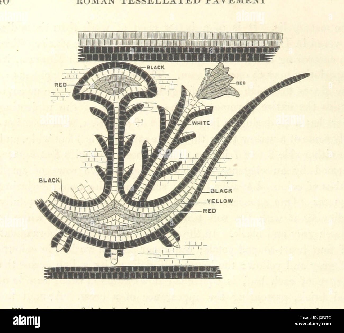 This work provides a detailed description of the Roman tessellated ...