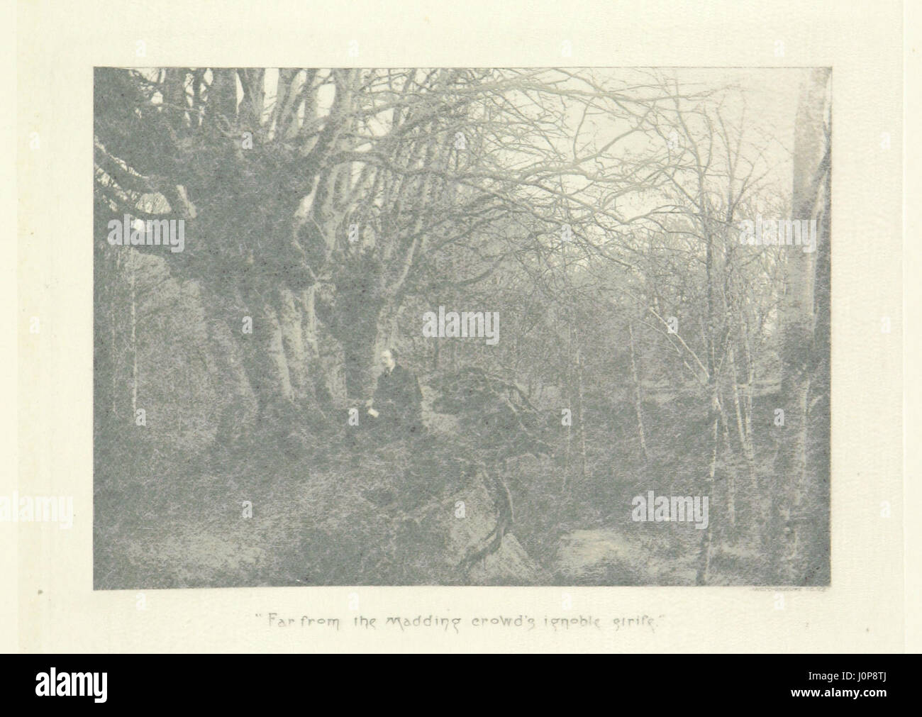 This image, from 'Gray’s Elegy and Its Author,' features an ...