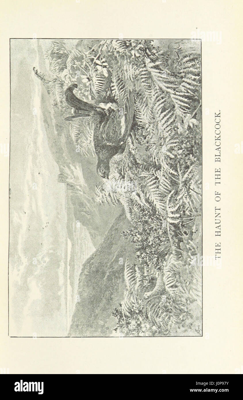 *Hind Head* is a region in England known for its scenic beauty, often ...