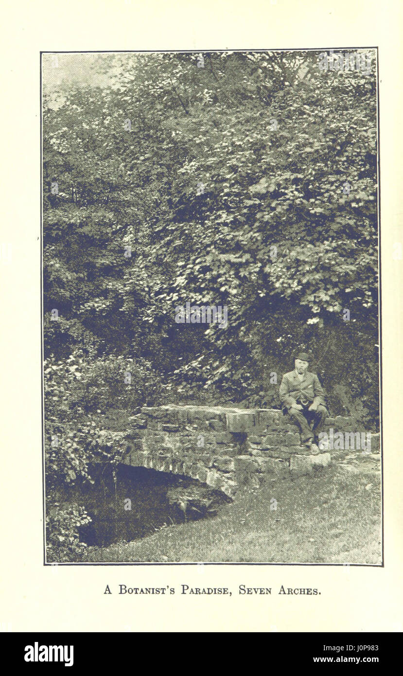 'Chronicles and stories of Old Bingley' offers an in-depth exploration ...