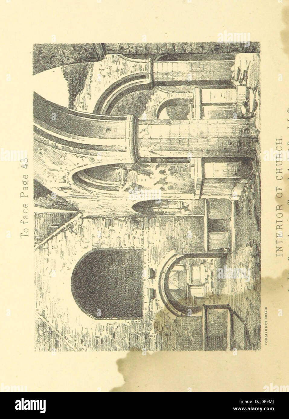 This book provides a detailed history of the Abbey of Ross, exploring ...