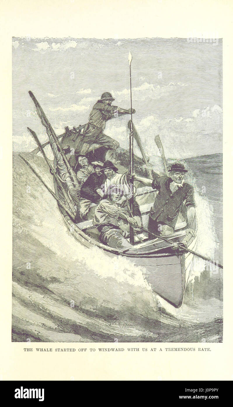This account details the voyage of the ship Cachalot, which sailed ...