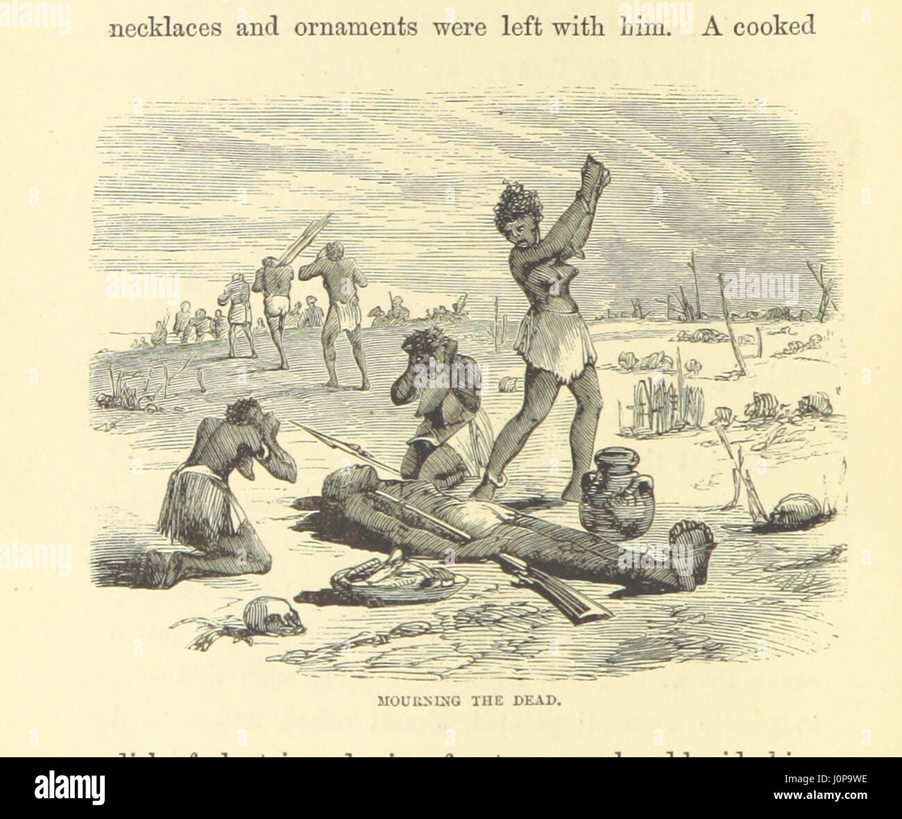 This image from page 104 of 'Wild Life under the Equator' provides a ...