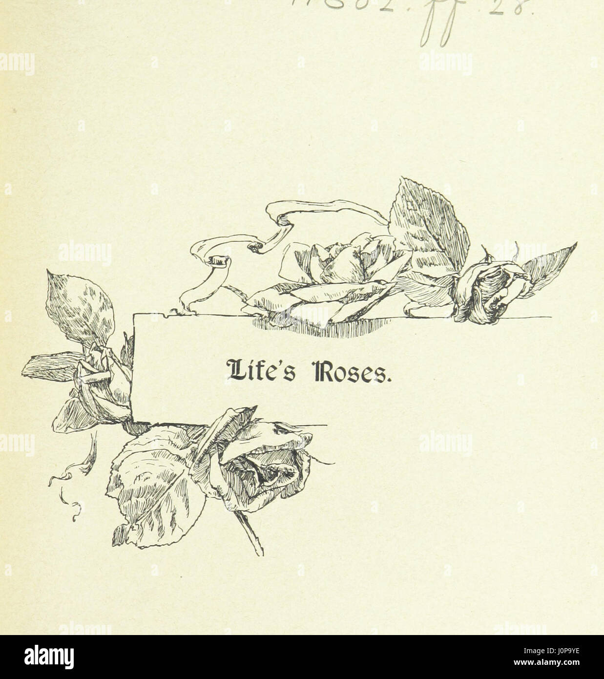 'Life’s Roses' is a collection of selected poems that explore various ...