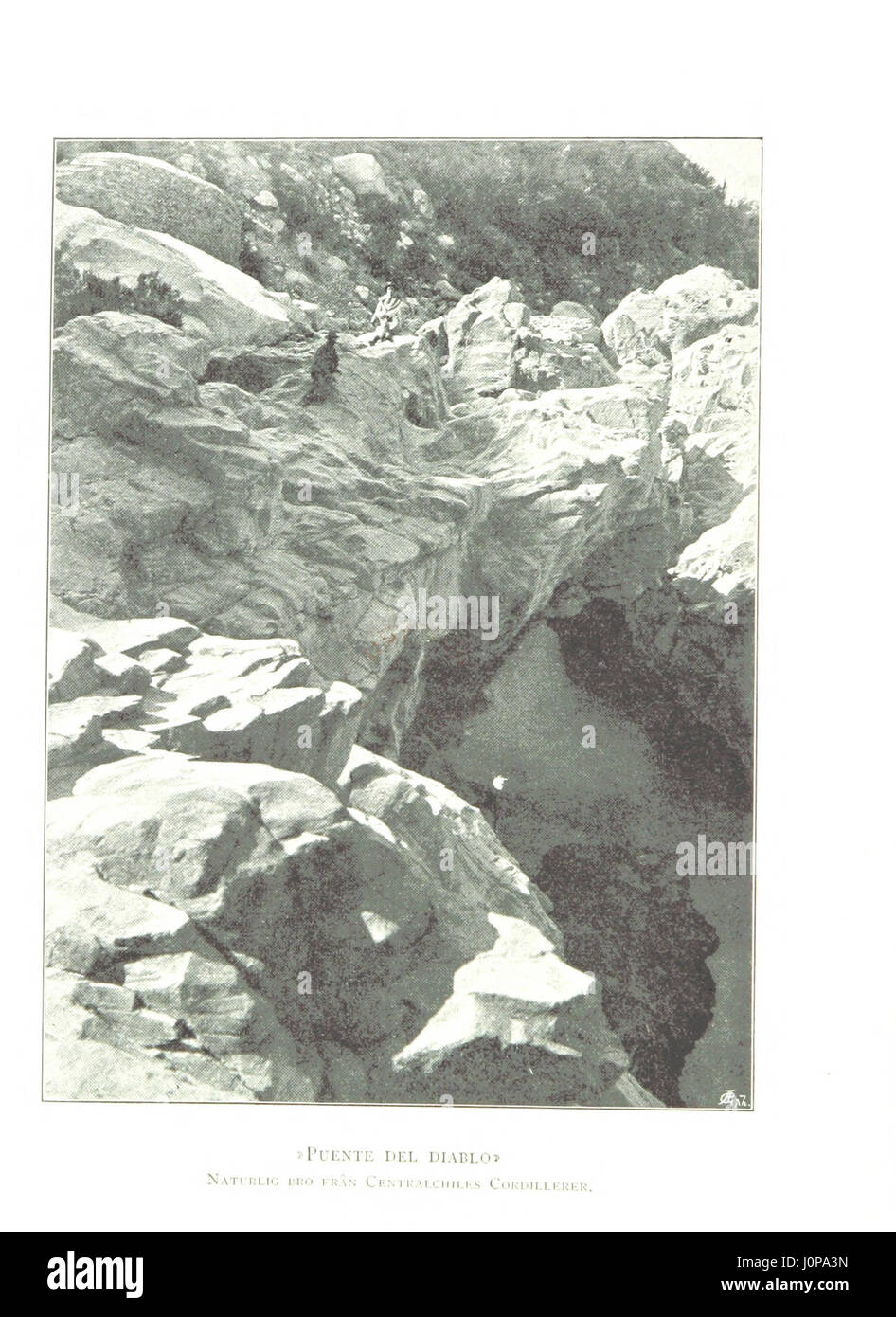Från Eldslandet details the Swedish expedition to the Magellanic ...