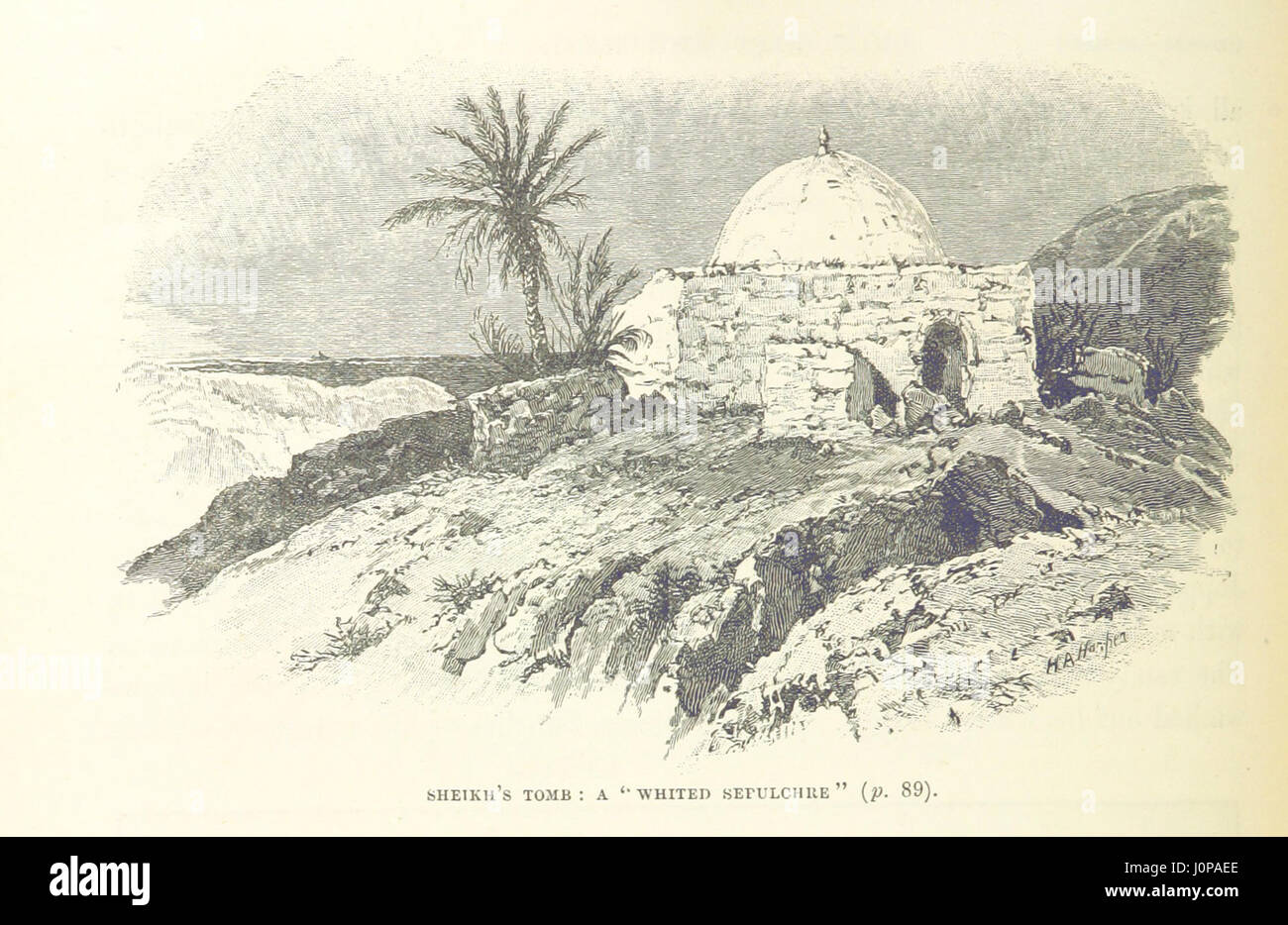 This book features illustrations of the Holy Land and key Biblical ...