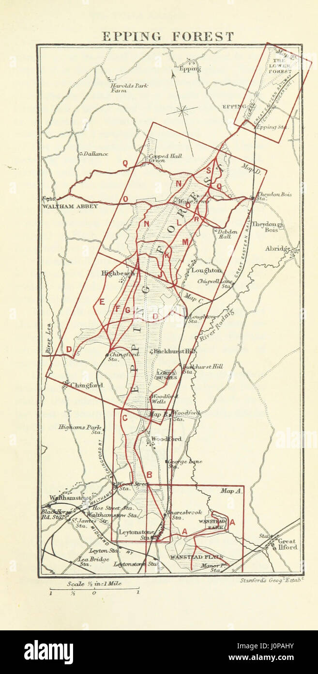 This image from 'Epping Forest' offers a glimpse into the natural ...