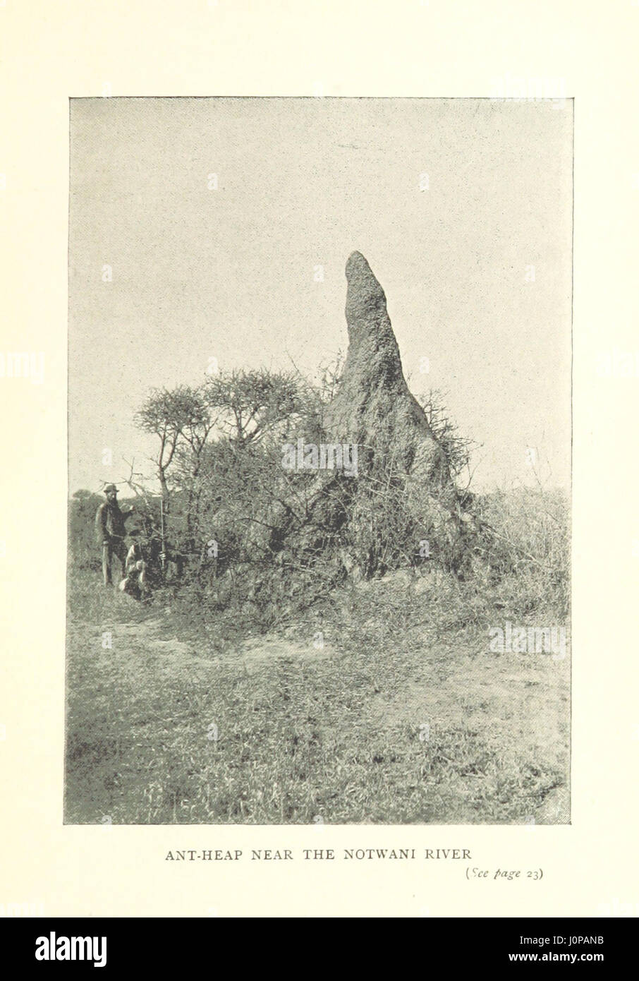 An illustrated history of Rhodesia, covering both its past and present ...